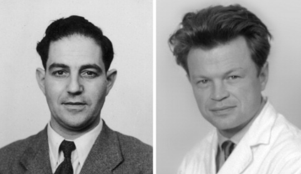 [면역학]두 종류의 바이러스에 동시에 감염되기 어려운 이유-인터페론의 발견 1부 : 네이버 블로그