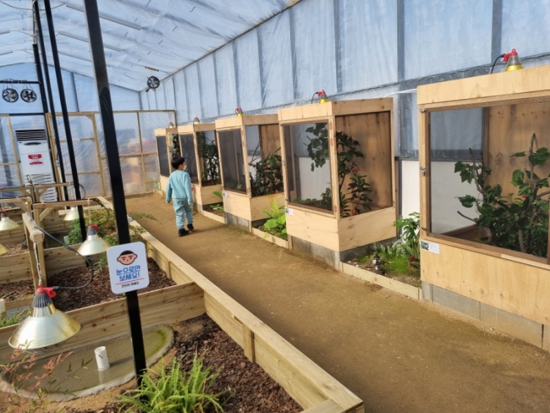 양주이색카페 휴에고 파충류 토끼농장이 있어요! : 네이버 블로그