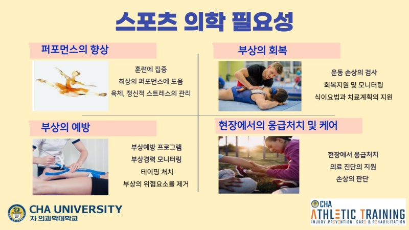 발의 회외 회내? 내번 외번? (Supination, Pronation vs Inversion, Eversion) 같은 의미 일 ...