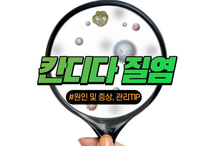 칸디다 질염 원인 및 증상 질칸디다증 질염약 네이버 블로그