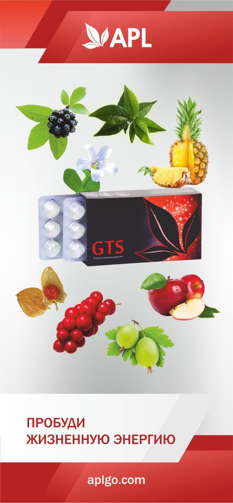 APLGO에이피엘고,APL캔디→GTS와 비타민B +COQ10 그리고 조합&응용하기(GTS+GRW) : 네이버 블로그