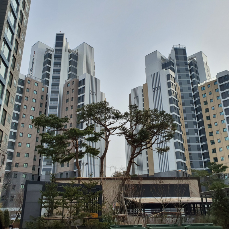신정1 5구역신정동 1152번지 임장 및 분석27 네이버 블로그