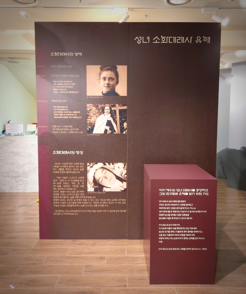 아트매니아플러스 명동성당 · 종이백월 · 허니컴보드 · Pop · 제작물 · 실사출력 · 성수동업체 · 제작물 · 백월