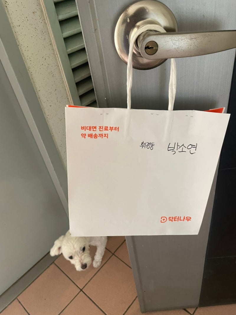 코로나 확진일기3 코로나확진자 병원진료 약처방 받는법 3일차 도착한 재택치료키트 네이버 블로그