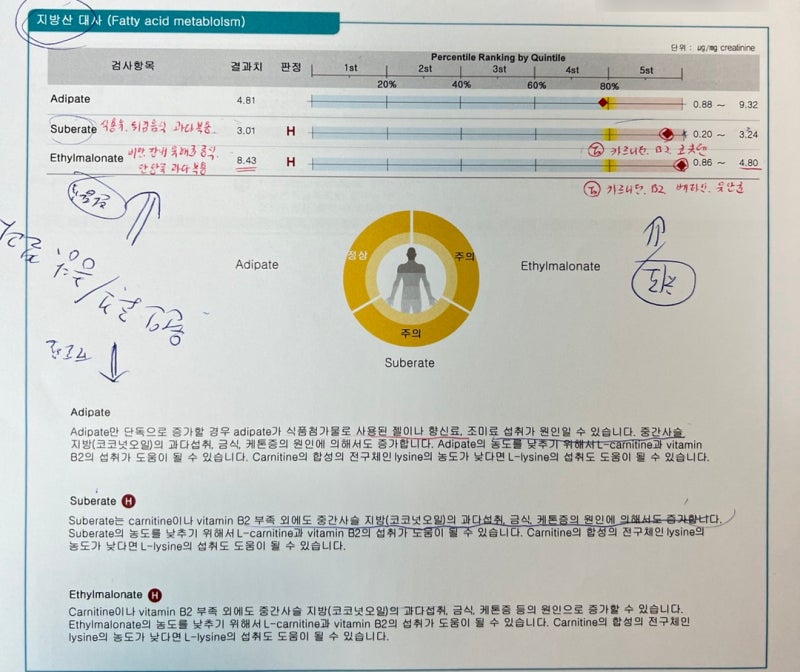 기능의학 검사 후기 (3-1편) - 소변 유기산 검사 : 네이버 블로그