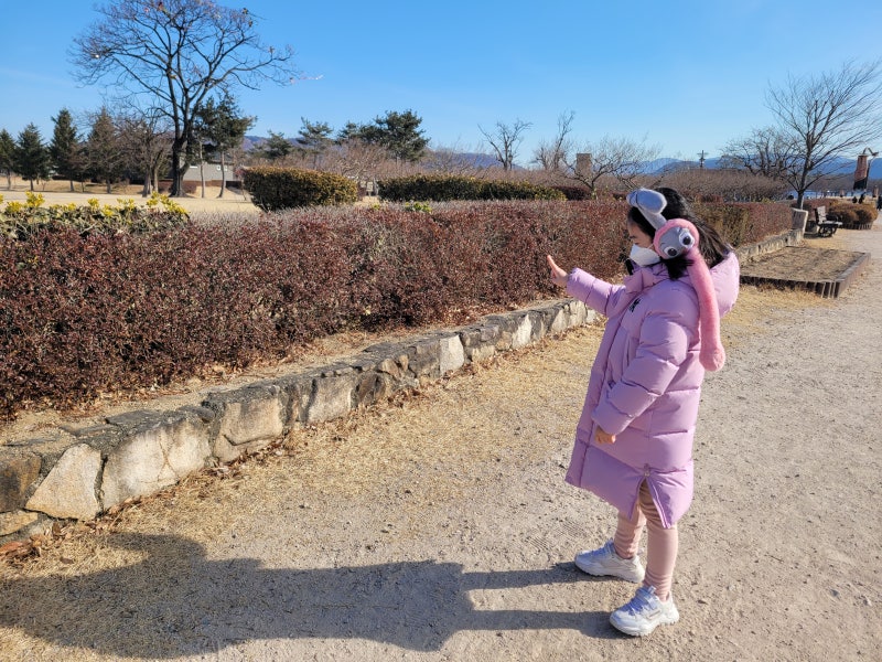 경주 비단벌레차 타고 경주여행 코스 관광지 둘러보기 네이버 블로그
