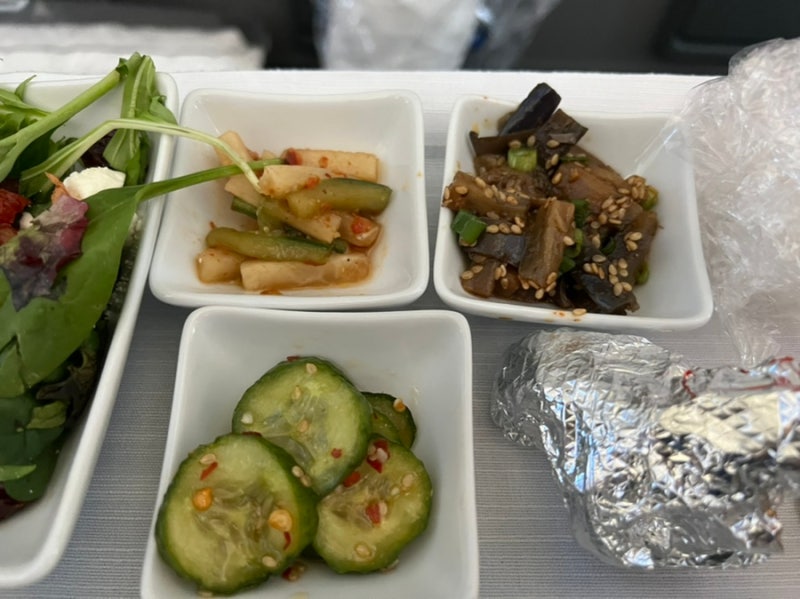 아메리칸 에어라인 프리미엄 이코노미 후기 달라스 인천 미국여행 칸쿤여행 네이버 블로그