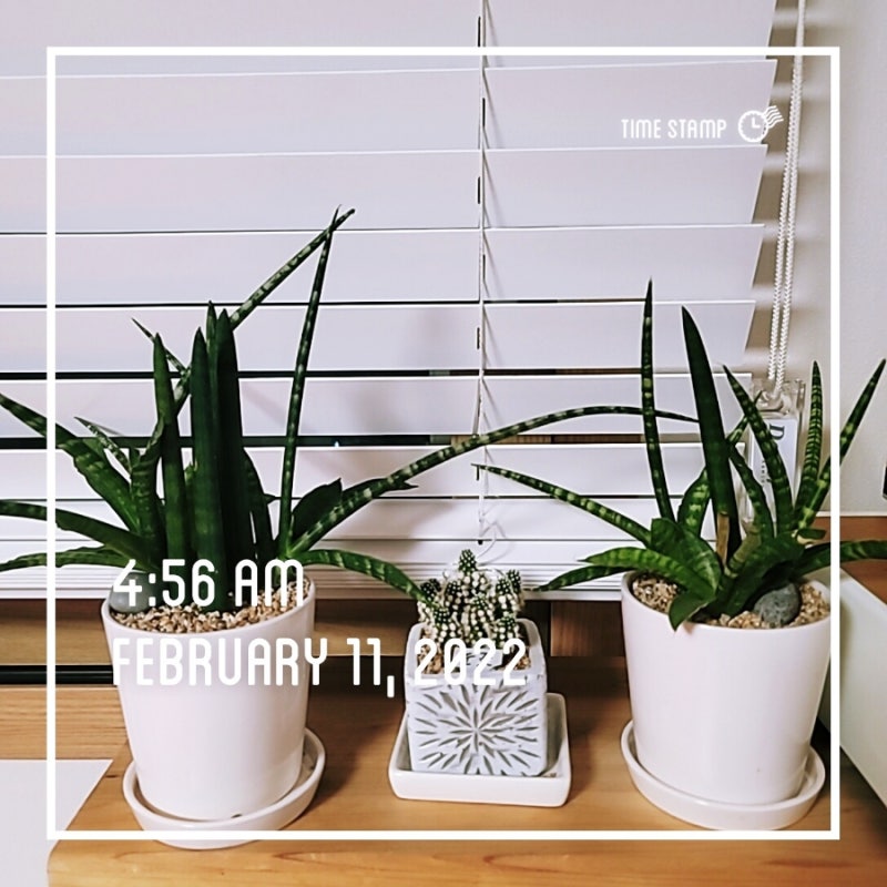 mkyu 짹짹이월드 514챌린지 11일차 : 네이버 블로그