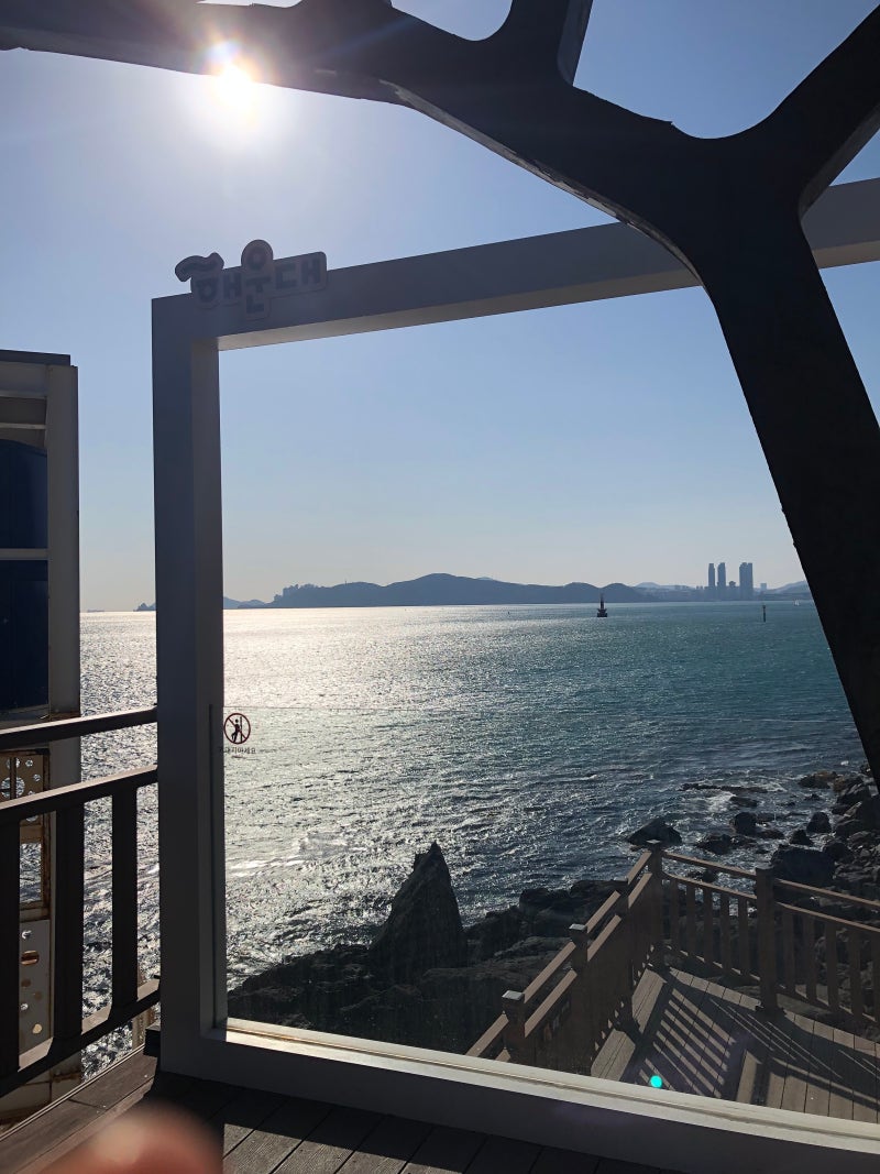 부산 가볼만한곳 해운대 미포철길 산책로 그린레일웨이 네이버 블로그