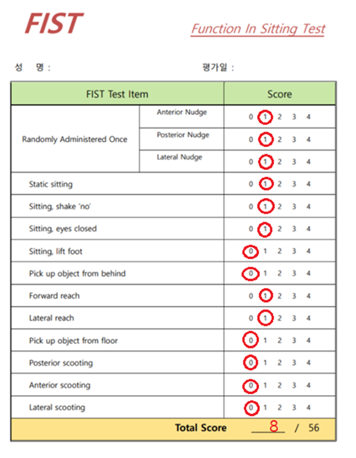 앉은 자세 균형 평가 (Function In Sitting Test) : 네이버 블로그