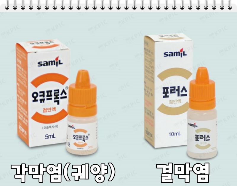 고양이 눈병 안약 결막염 각막궤양 다르니 주의 포러스 점안액 네이버 블로그