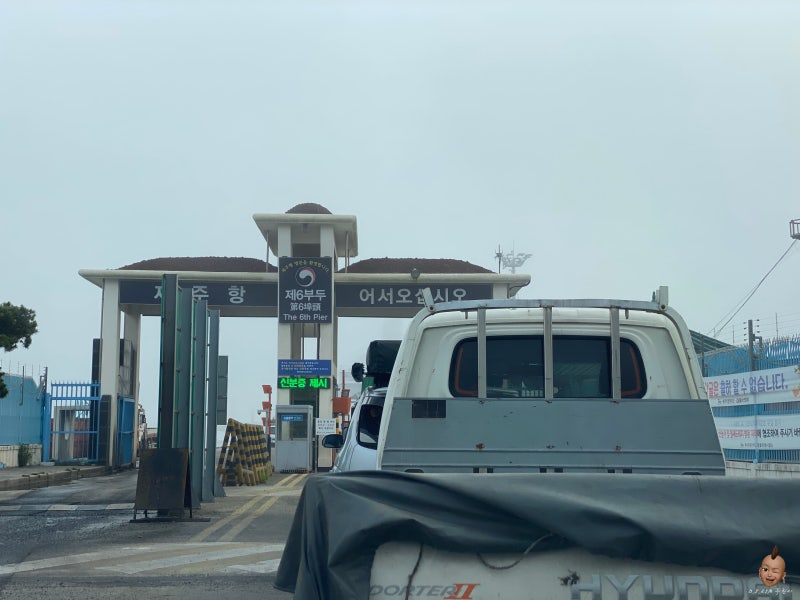 제주도 제주항6부두 배타고 완도 한일고속페리 실버클라우드 애견동반 50대 취미추천 네이버 블로그