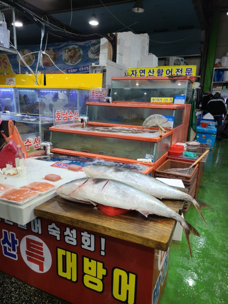 광주 매월동 서부농수산물도매시장 호남수산 대방어 맛집 네이버 블로그
