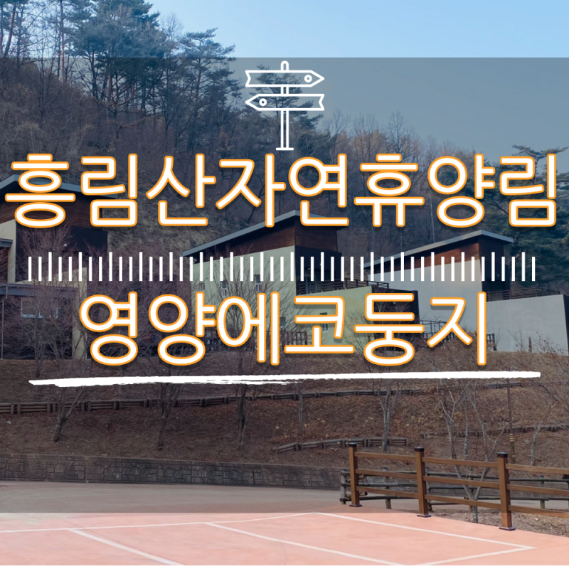 경북 영양 공립 영양에코둥지흥림산자연휴양림 네이버 블로그