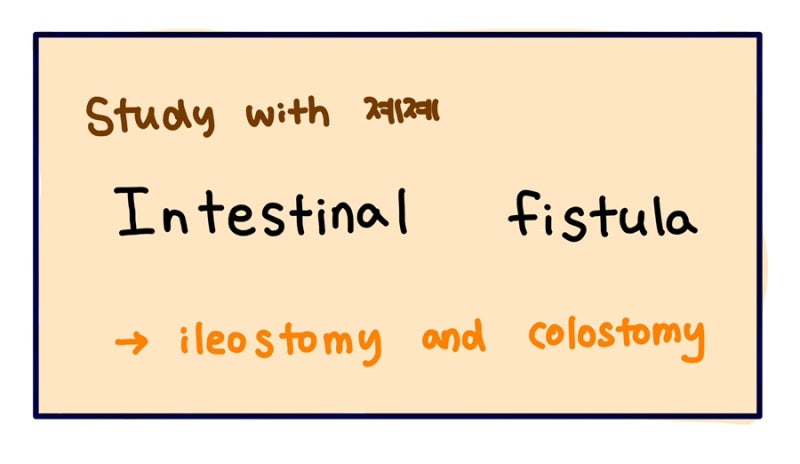 Intestinal fistula (장루) : 네이버 블로그