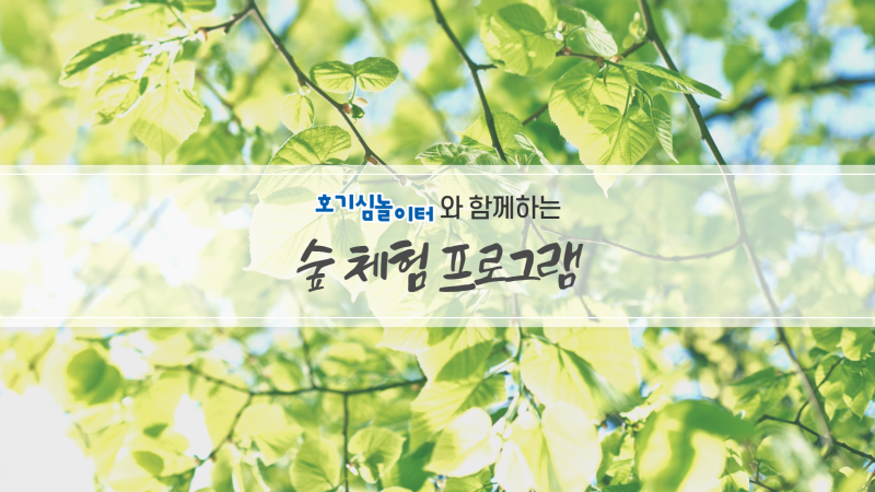 유아숲체험 서울 근교 호기심놀이터 숲체험프로그램으로 고민해결 네이버 블로그
