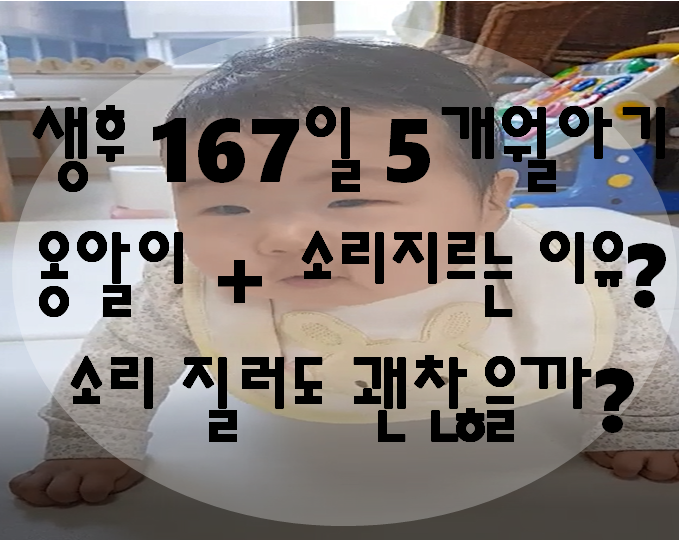 생후 167일 5개월 아기 옹알이 소리 지르는 이유 걱정해야할까 네이버 블로그