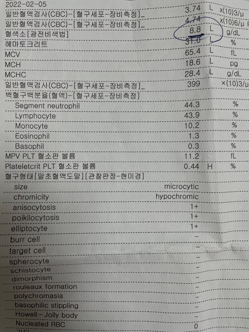 빈혈 검사 후기 빈혈수치 88 철 결핍성 빈혈약 처방 네이버 블로그