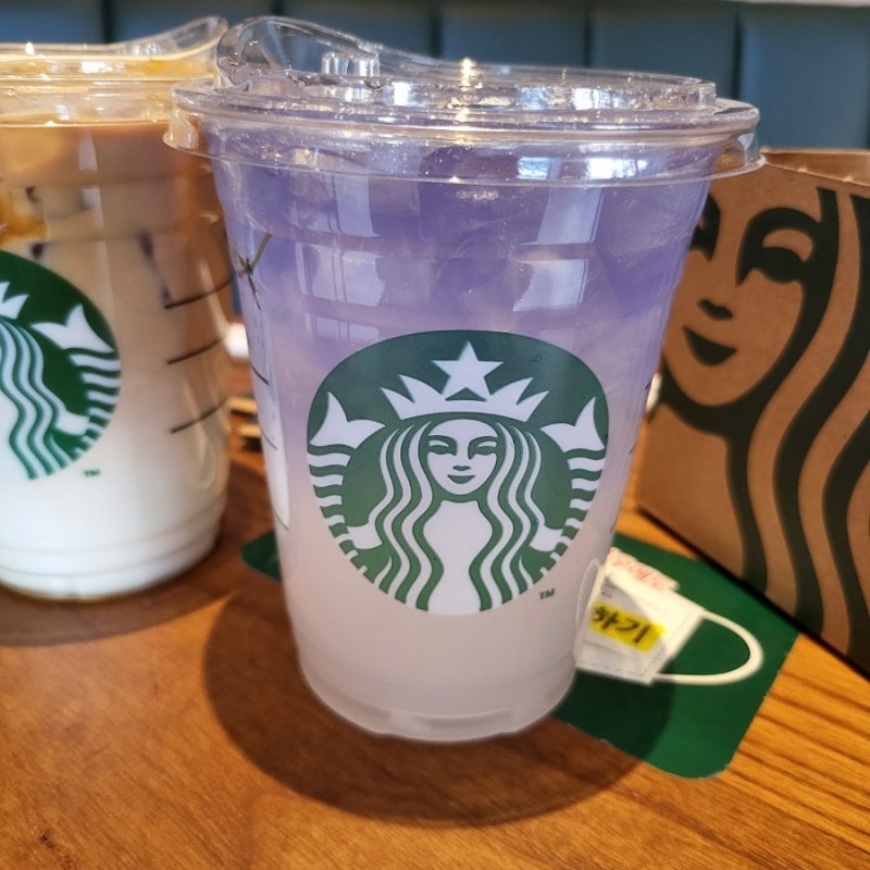 스타벅스 Starbucks 스트로베리프로모션 Bring New Spring 스프링가든 자스민 드링크 Spring