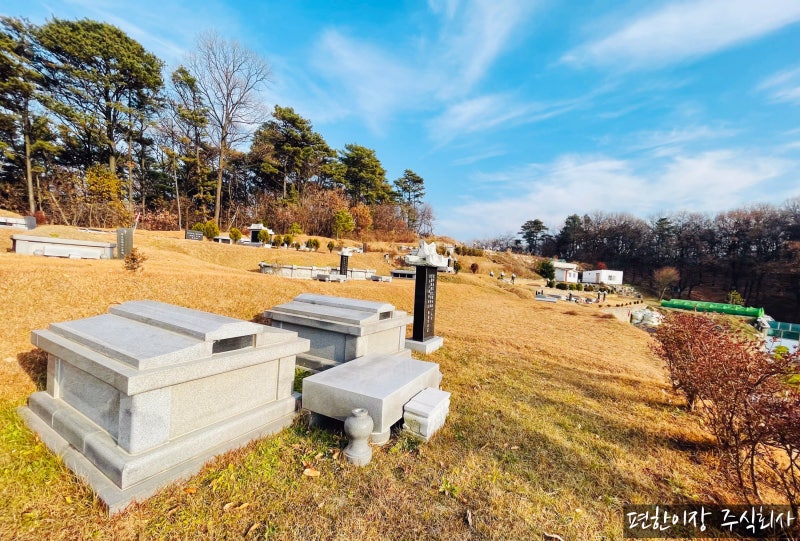 개장신고필증 발급의 모든 것온라인발급발급방법 네이버 블로그