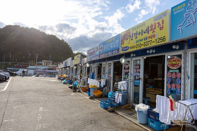 속초 외옹치항 둘레길 바다향기로 외옹치해수욕장까지 산책 네이버 블로그