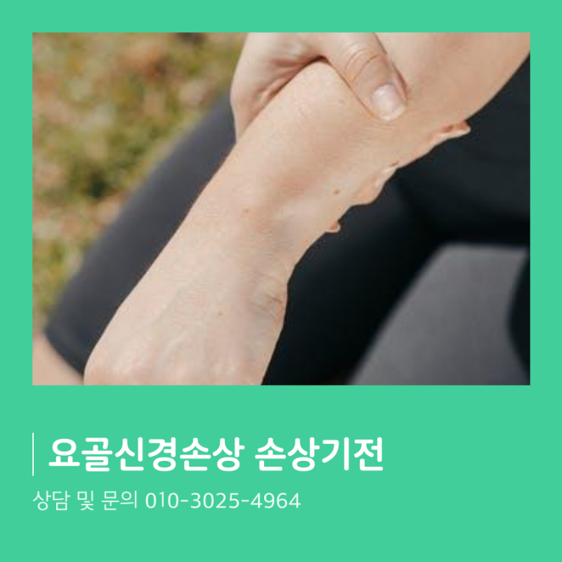 요골신경 손상이란그에 따른 치료방법 및 후유장해 네이버 블로그