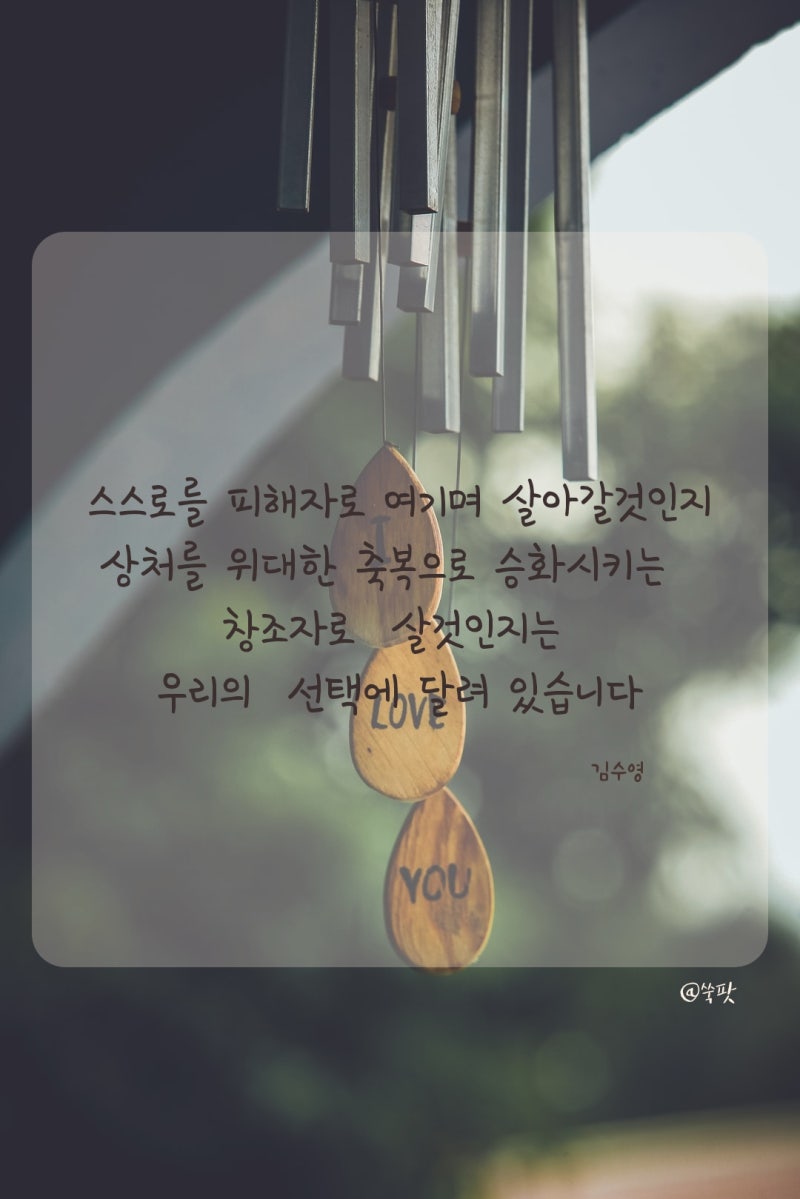 [동기부여/명언/확언 D62 ] 이제 이렇게 살기로 해요 : 네이버 블로그