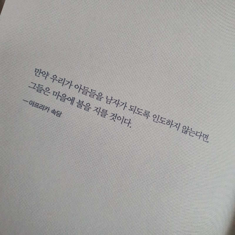 위기의 소년들 교육이 문제다소년의 심리학 마이클 거리언 위고 2013 네이버 블로그