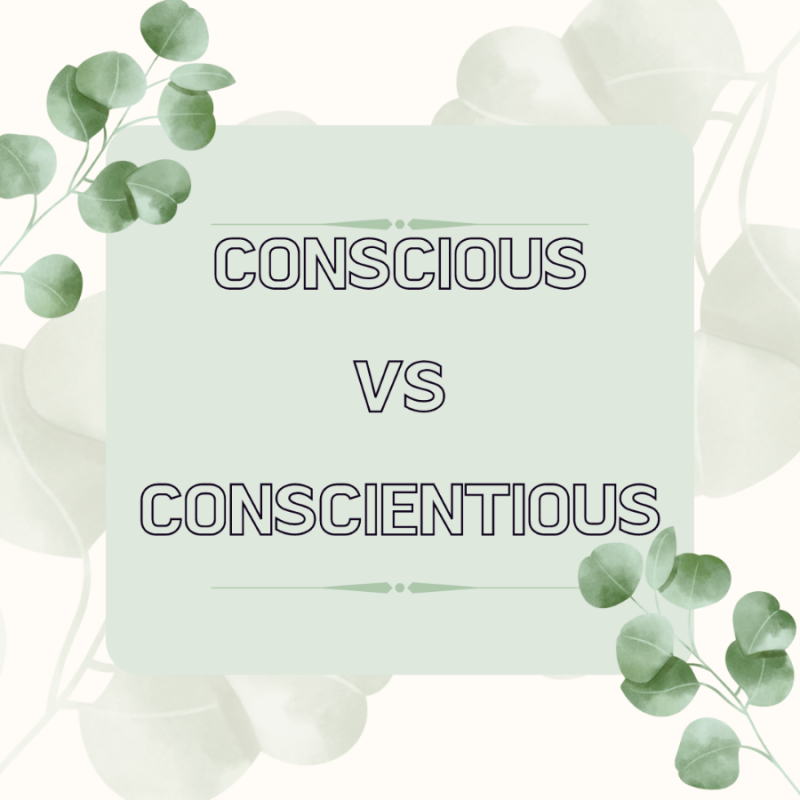 어휘 공부 conscious, conscientious : 네이버 블로그