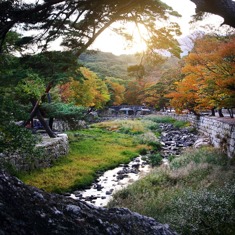 산림기능사 자격소개 시험내용과 대비방법 일정 합격률 네이버 블로그