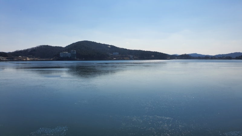 논산탑정호출렁다리 탑정저수지 논산탑정호출렁다리입장료 네이버 블로그