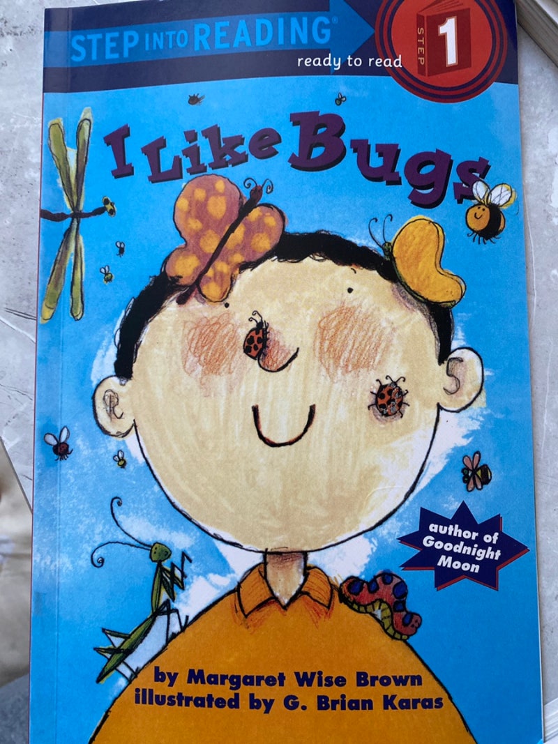 스텝투리딩1 해석 엄마와함께 영어공부 키즈원서 왕초보엄마도 내아이 영어선생님 I like bugs. : 네이버 블로그
