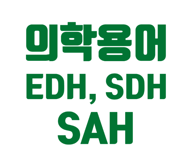 의학용어 EDH, SDH, SAH : 뇌출혈 의학용어 알아보기(1편) : 네이버 블로그