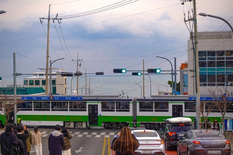 부산 가볼만한곳 부산 핫플 해운대 블루라인파크 해변열차 청사포 정거장