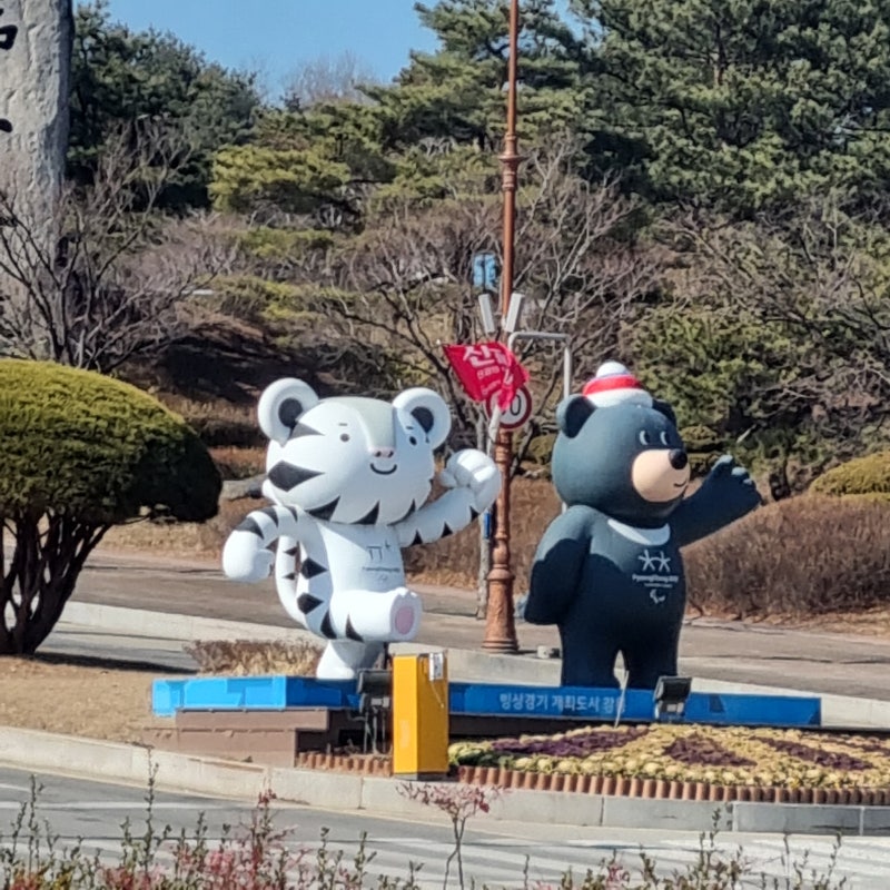 강릉여행1강릉카페 카르페디엠영진해변 조용한 카페 추천앤틱한 분위기 강릉카페 네이버 블로그