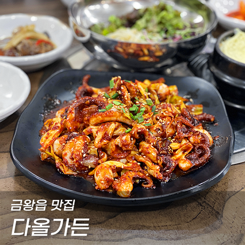 금왕 맛집 금왕읍 다올가든 쭈꾸미볶음 돌솥밥 푸짐하고 맛있어 네이버 블로그