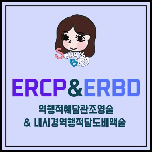 [간호] ERCP ERBD 역행적 췌담관 조영술 & 내시경검사, 시술, 내시경적 담석제거, 내시경적 담도스텐트(Stent ...