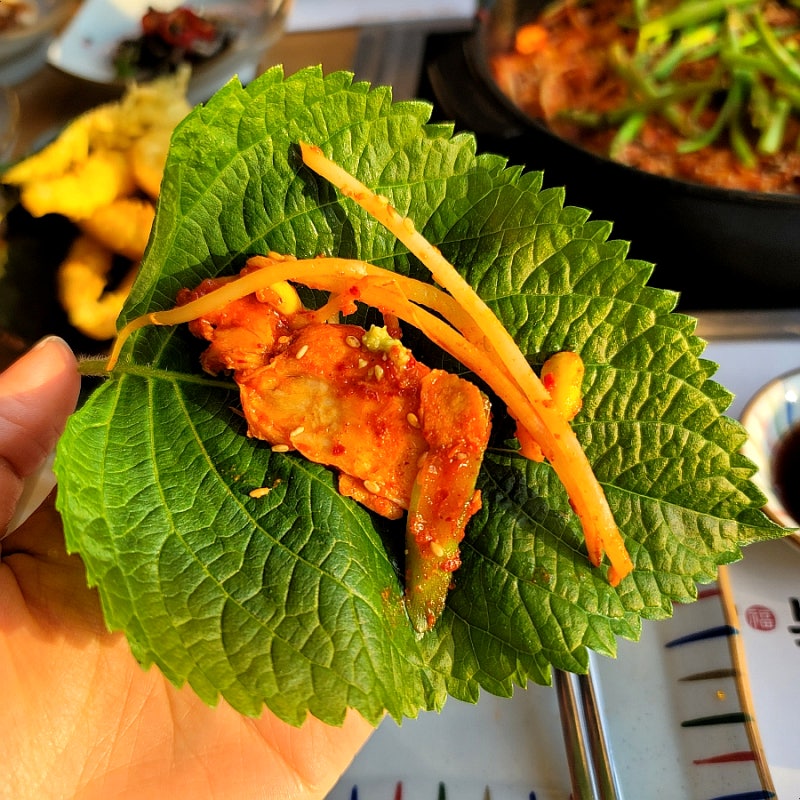 구미복어 금오산맛집 복터진집 금오산직영점 기가막히는 복어불고기 코스 네이버 블로그