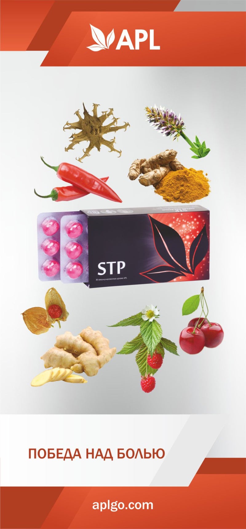 APLGO,APL캔디 STP 8 구성 요소-체리,고추,라즈베리,감초,생강,하르파고피툼,심황,위타니아 의 특성 11 : 네이버 블로그