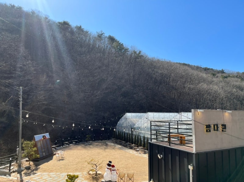 대구 아이와 가볼만한 곳 수성구 다육이 어린이 체험 팜다원 군고구마 화분심기 모래놀이 네이버 블로그