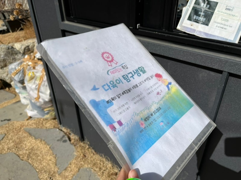 대구 아이와 가볼만한 곳 수성구 다육이 어린이 체험 팜다원 군고구마 화분심기 모래놀이 네이버 블로그