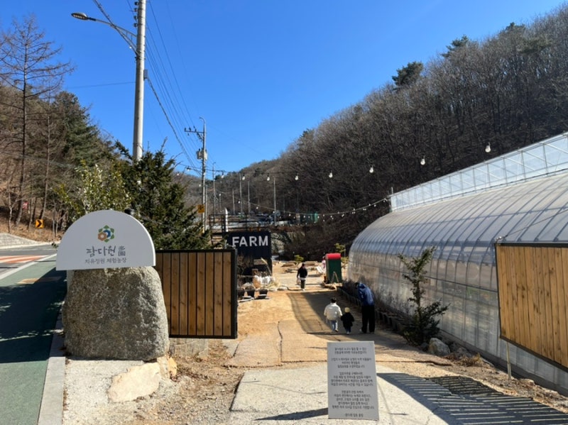 대구 아이와 가볼만한 곳 수성구 다육이 어린이 체험 팜다원 군고구마 화분심기 모래놀이 네이버 블로그