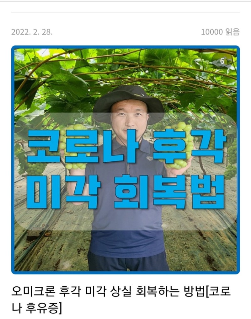 코로나 후각 미각 상실 회복 방법 이렇게 네이버 블로그