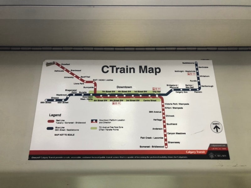 snowy and windy day 다운타운에서 블로그 이웃 만나기 / 캘거리 다운타운 차이나타운 Pho City / H 마트 ...