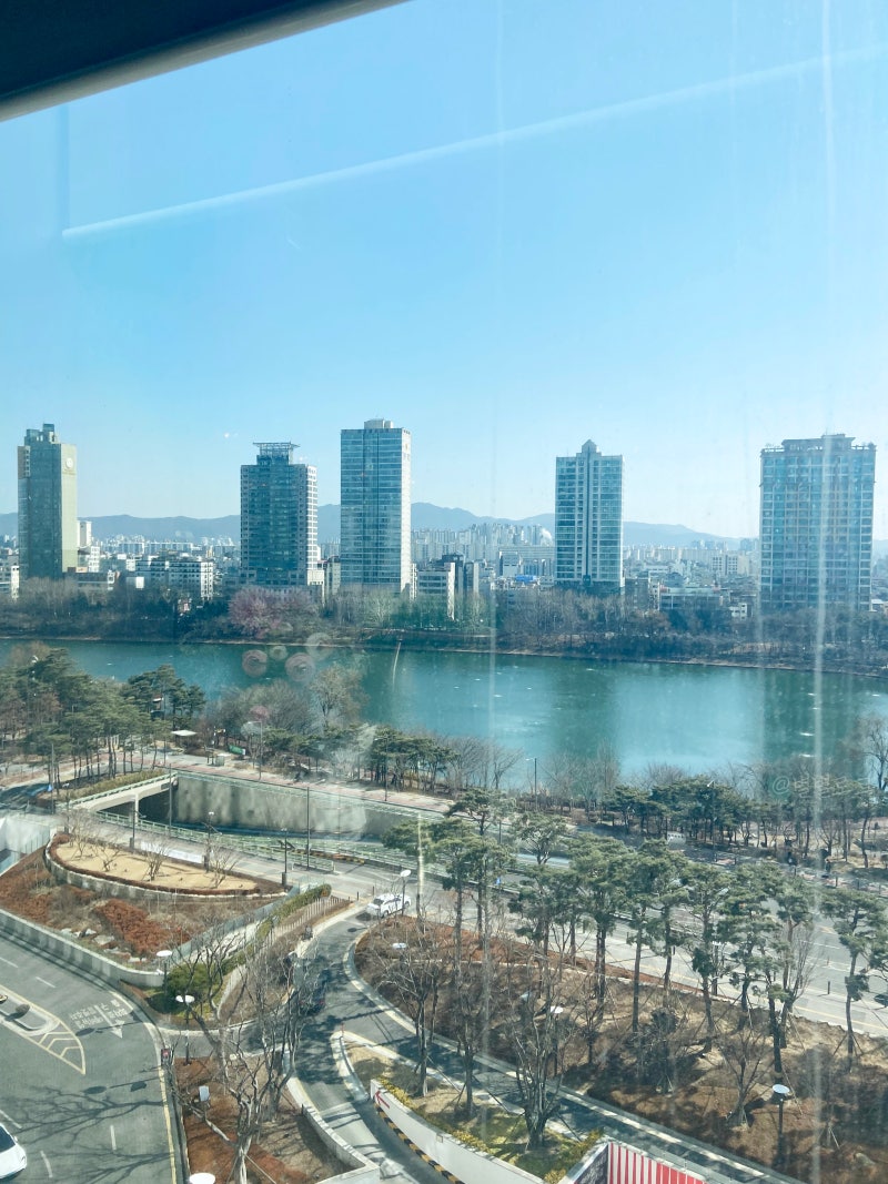 롯데타워맛집 인도커리 아그라 잠실에비뉴엘점 메뉴 가격 주차 네이버 블로그
