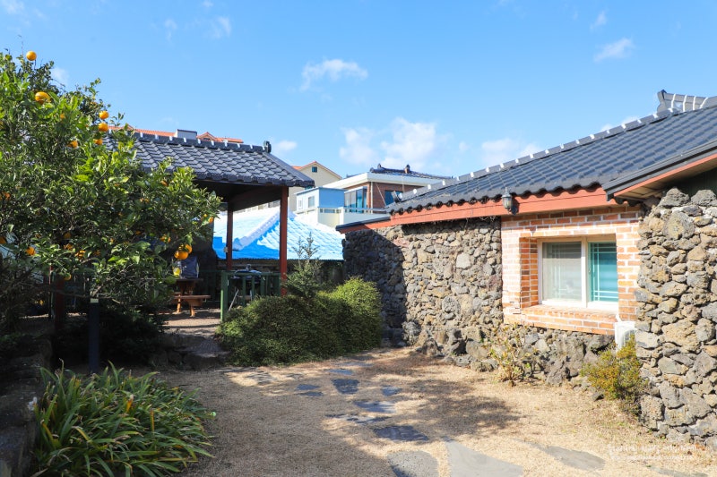 제주도 한달살기 숙소 제주 돌담집 독채 펜션 감성뿜뿜 네이버 블로그