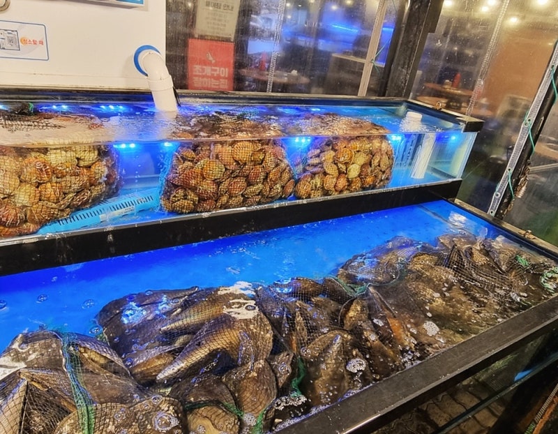 오이도 청춘조개 맛과 낭만이 깃들어 있으며 연탄과 조개가 무한으로 제공되는 곳 네이버 블로그