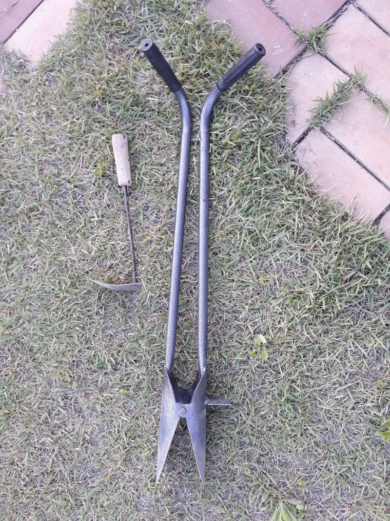 옥수수 심는시기 모종 씨앗 심기 옥수수 키우기 재배 방법 네이버 블로그