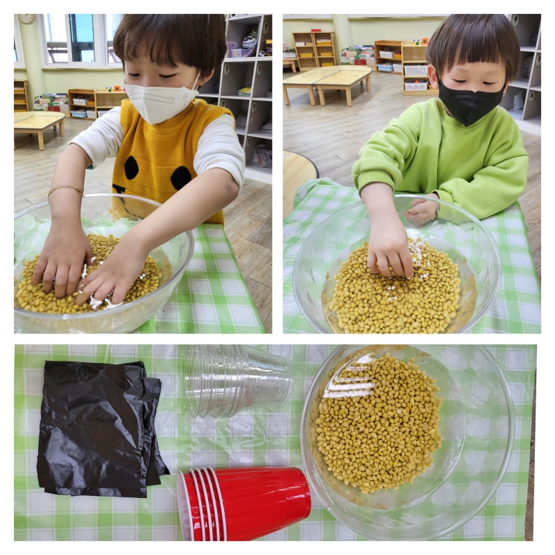 강경어린이집 놀이 치트키 역대급 🙌오감놀이 콩나물 네이버 블로그