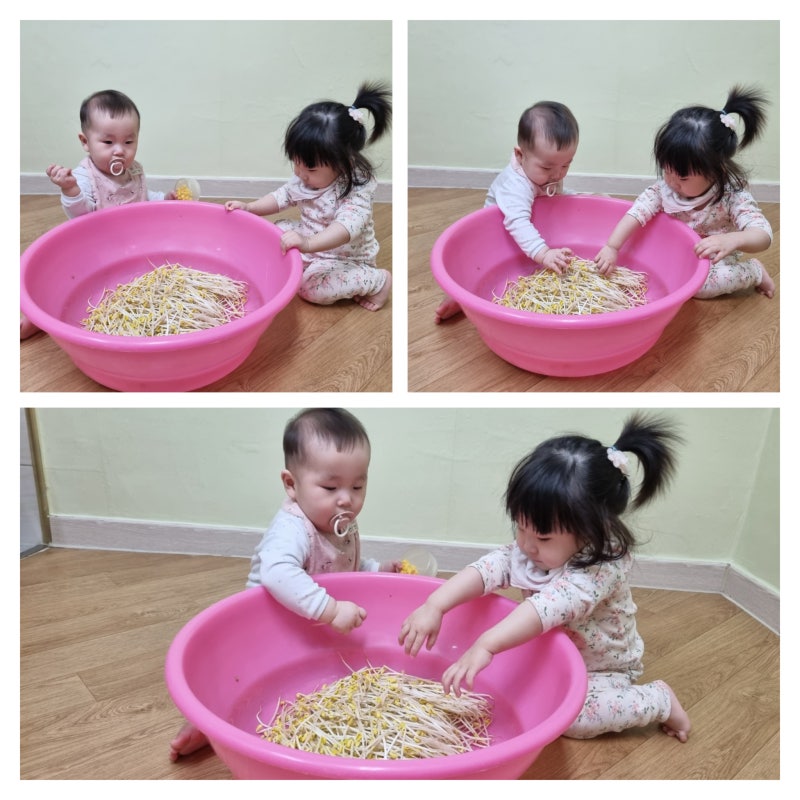 강경어린이집 놀이 치트키 역대급 🙌오감놀이 콩나물 네이버 블로그